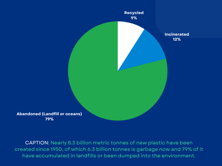Economic cost of plastic pollution: Can we afford it? - EKI Energy ...